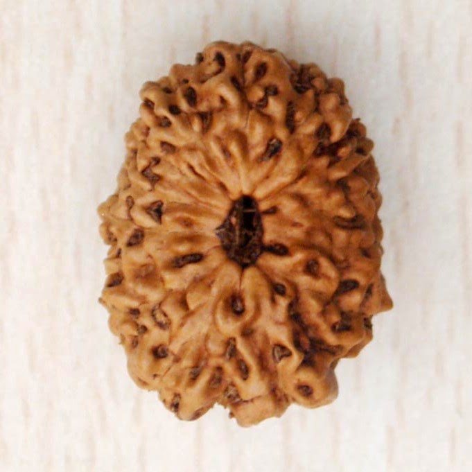 History, benefits, and the content of the jenitri fruit is good for ...