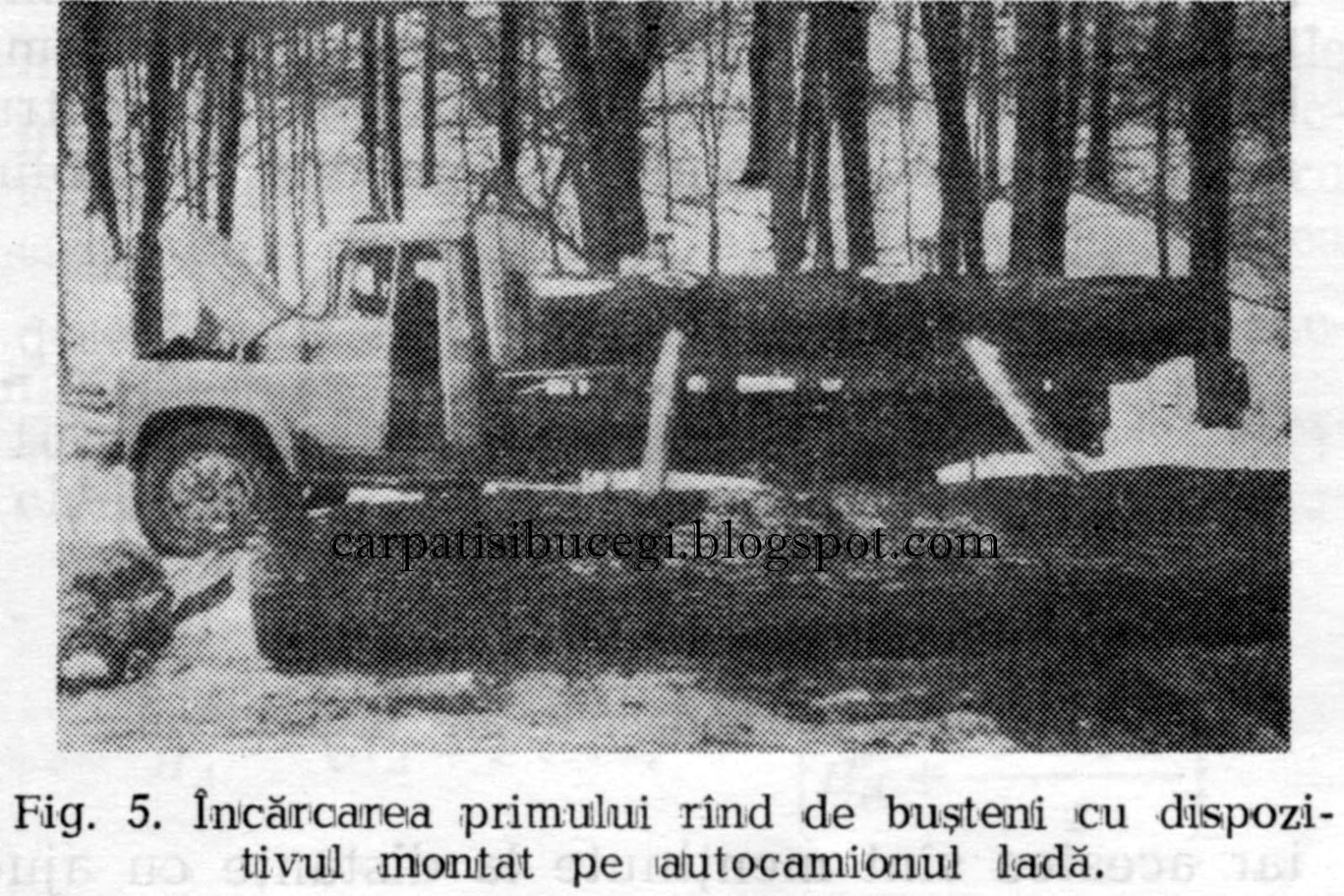 Carpati si Bucegi: SR 113