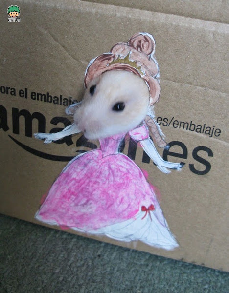 Diy | Crea ropa divertida para tu hamster | Mascotas