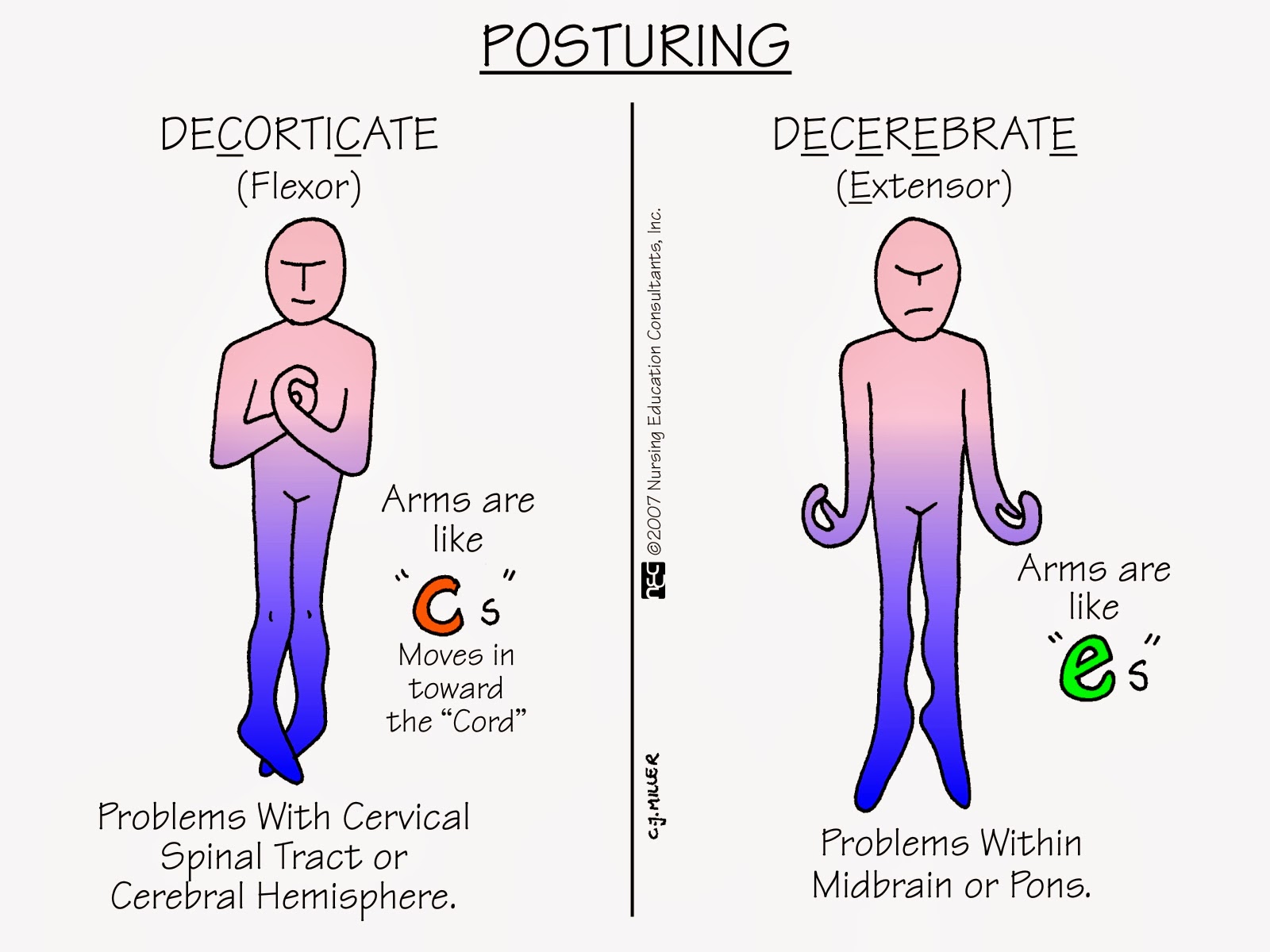 Nurses Notes: MS Nursing MNEMONICS 2