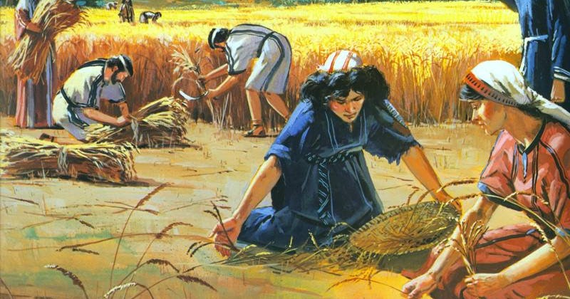 Gerald Whitely: Leviticus 19:9,10