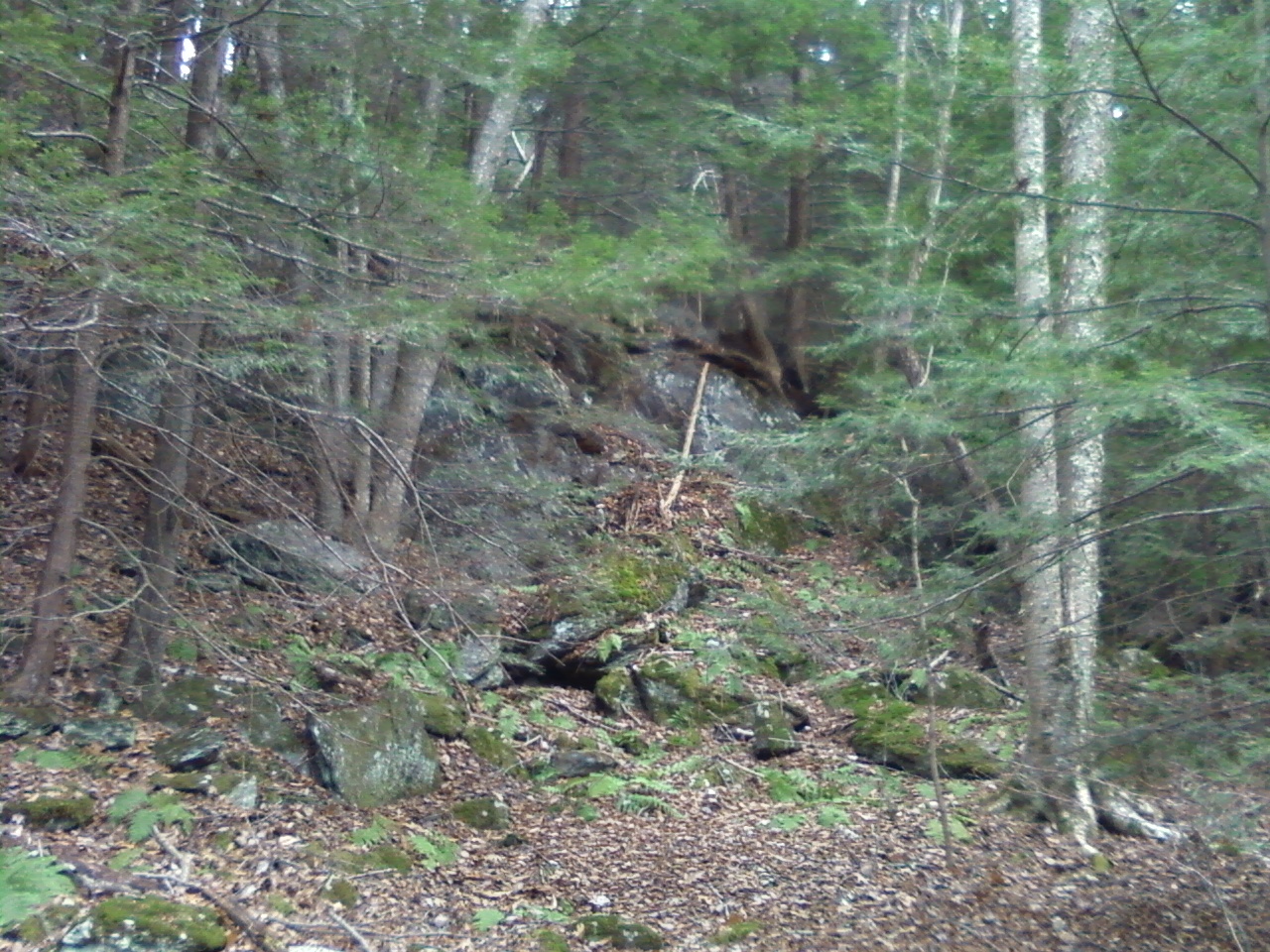 Just a few of my favorite short, overlooked hiking/nature trails in the ...