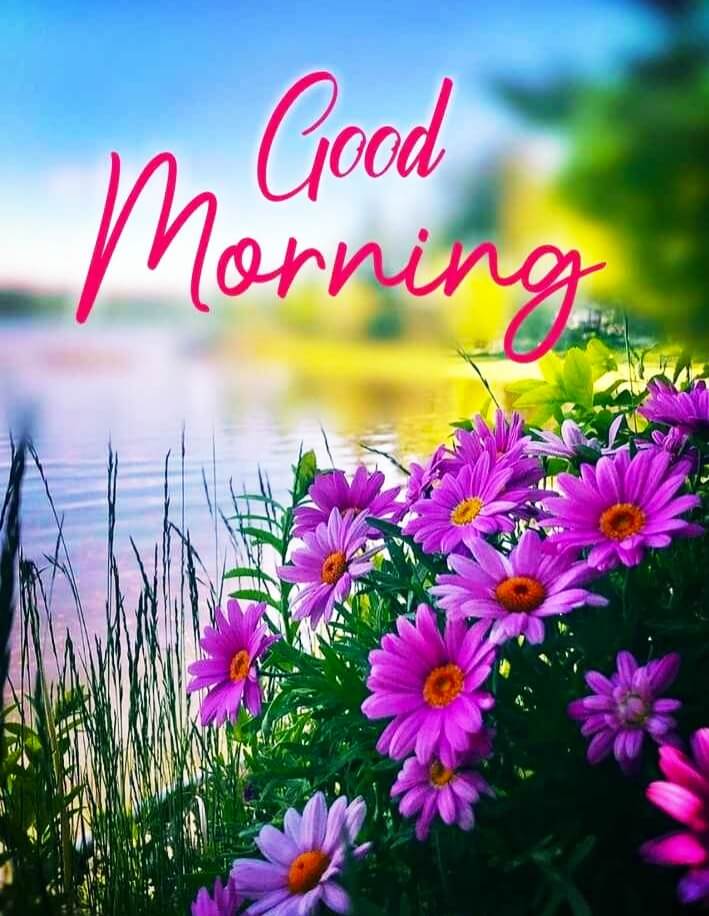 Best Good Morning Images