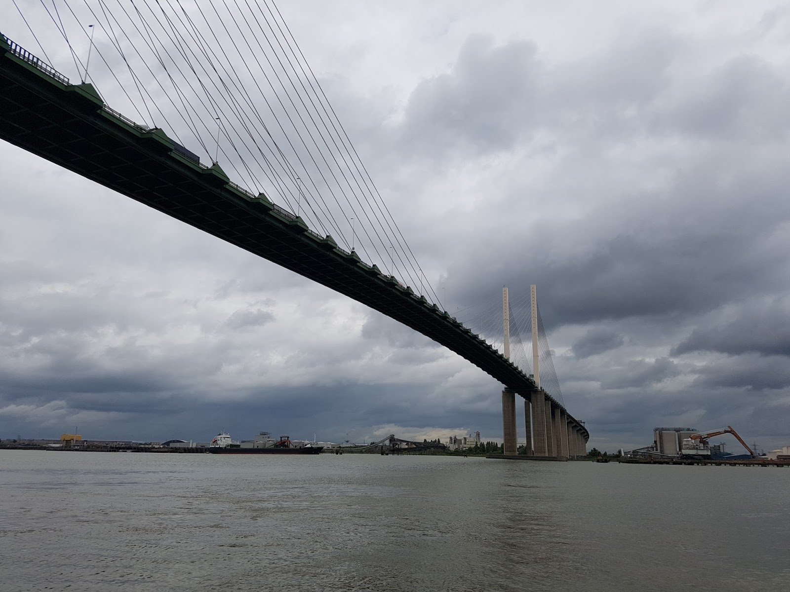 Blue Eyed Birder: Old Father Thames from a different perspective - 1st ...