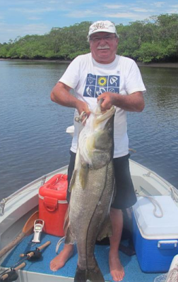 Big Fishes of the World: SNOOK BLACK (Centropomus spp)