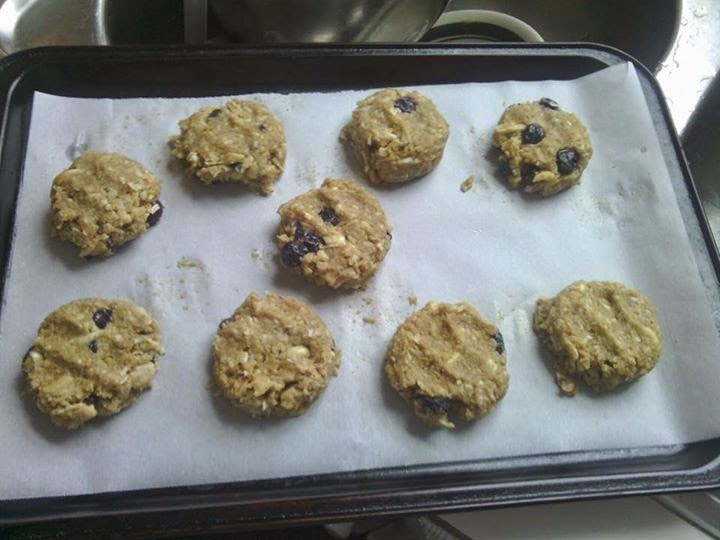 Interstitial Cystitis (IC) Recipes and Tips: Blueberry Almond Scones ...