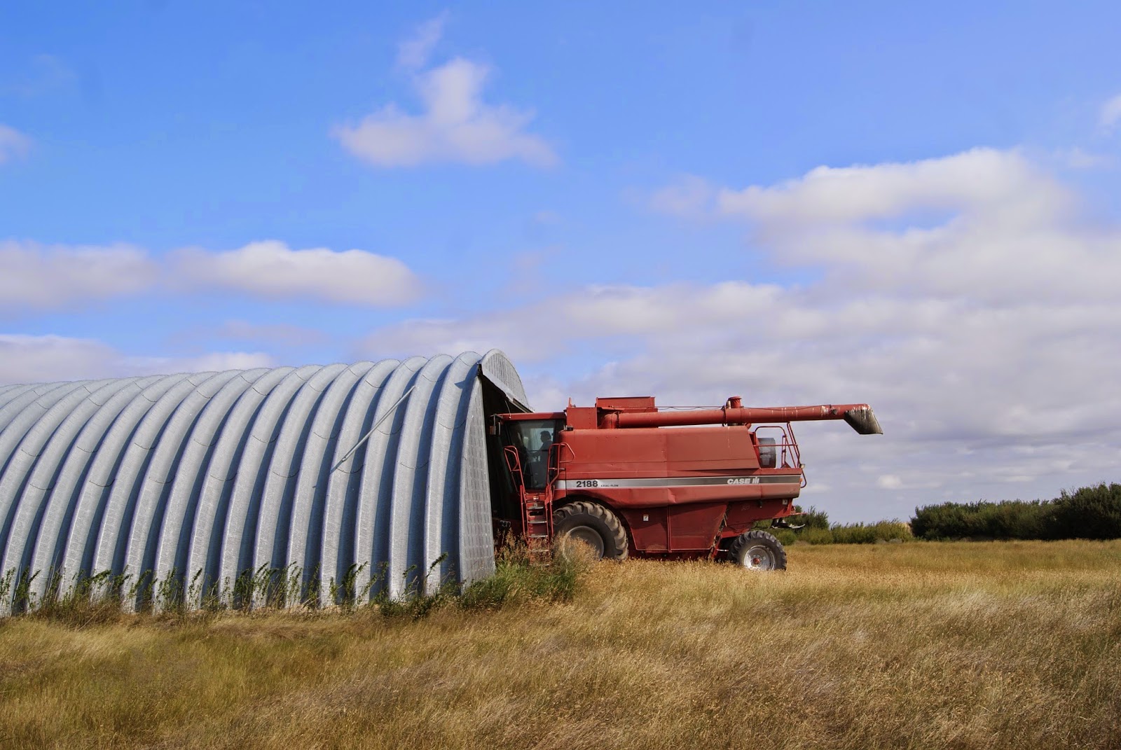 Lost But Loving It...In Alaska!: Old Yards
