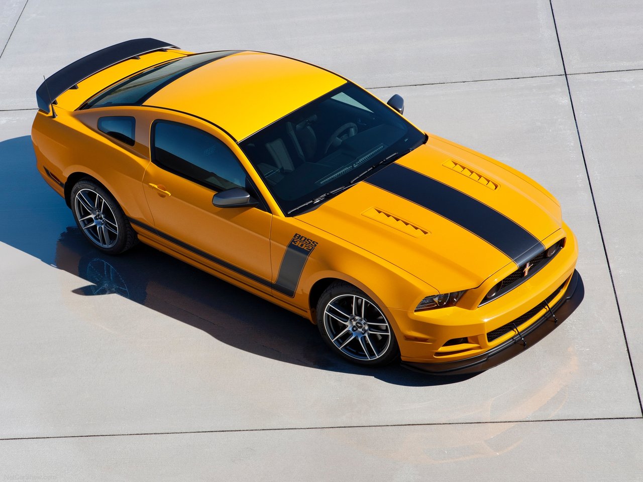 Shelby Mustangs: 15 pictures of Ford Mustang Boss 302 (2013)