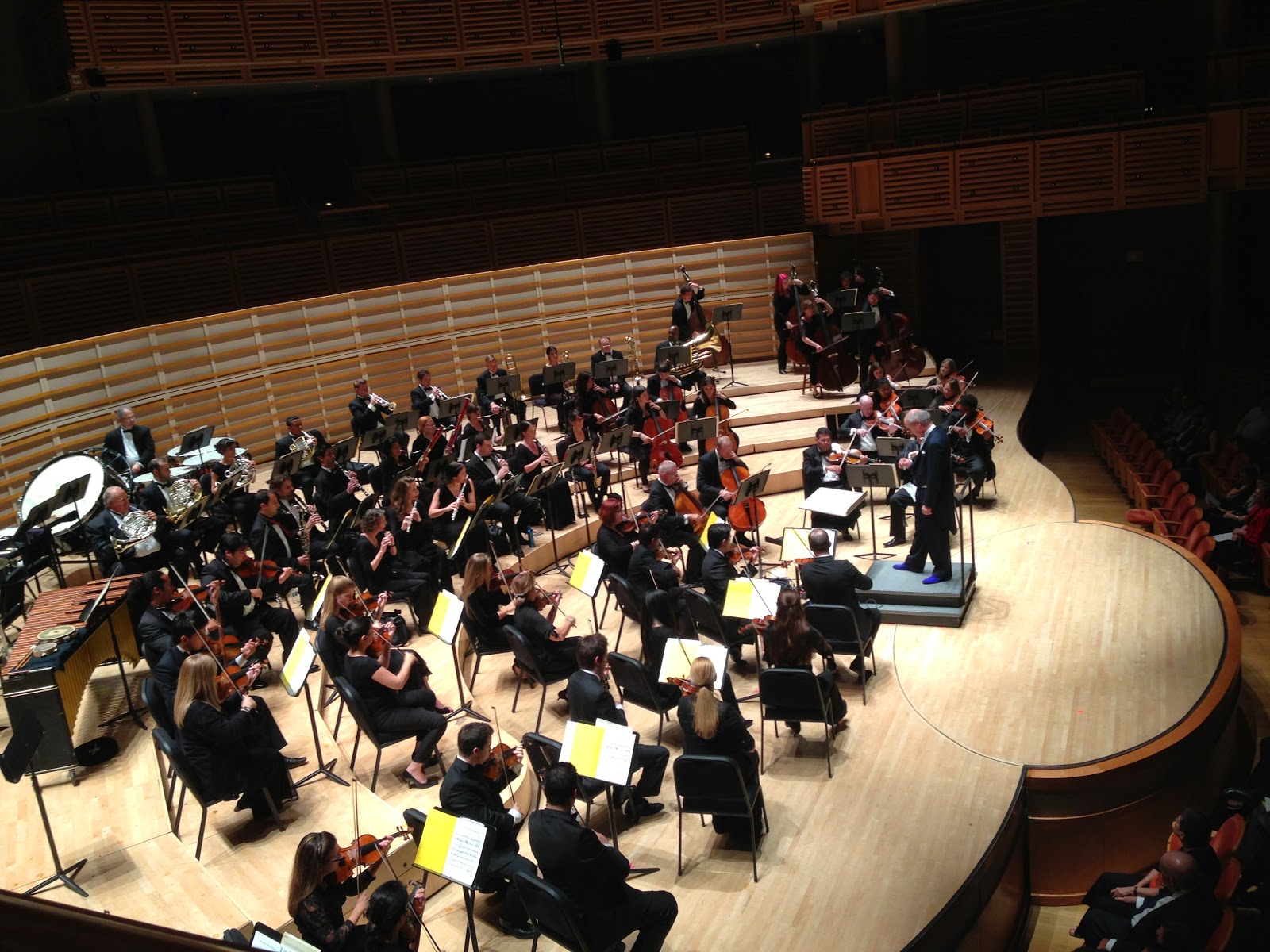 Septimo Brand : The Miami Symphony Orchestra Takes Over Miami.