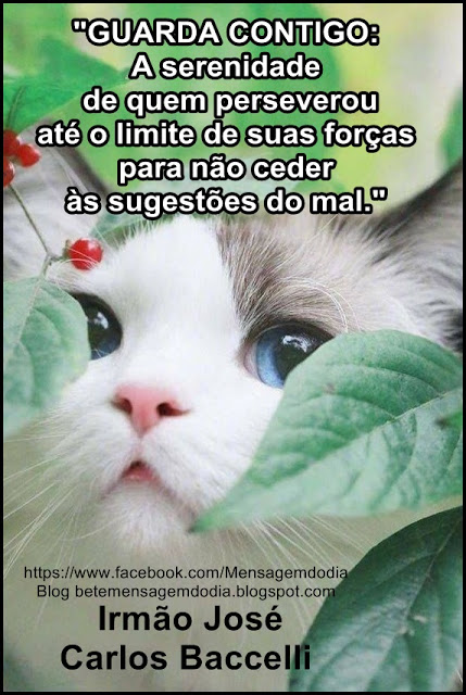 Os instrumentos da perfeição