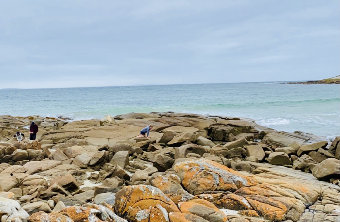 Camping at Musselroe Bay