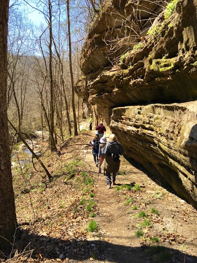 North Central Arkansas Hiking: Sylamore Creek Trail -- Gunner Pool to ...