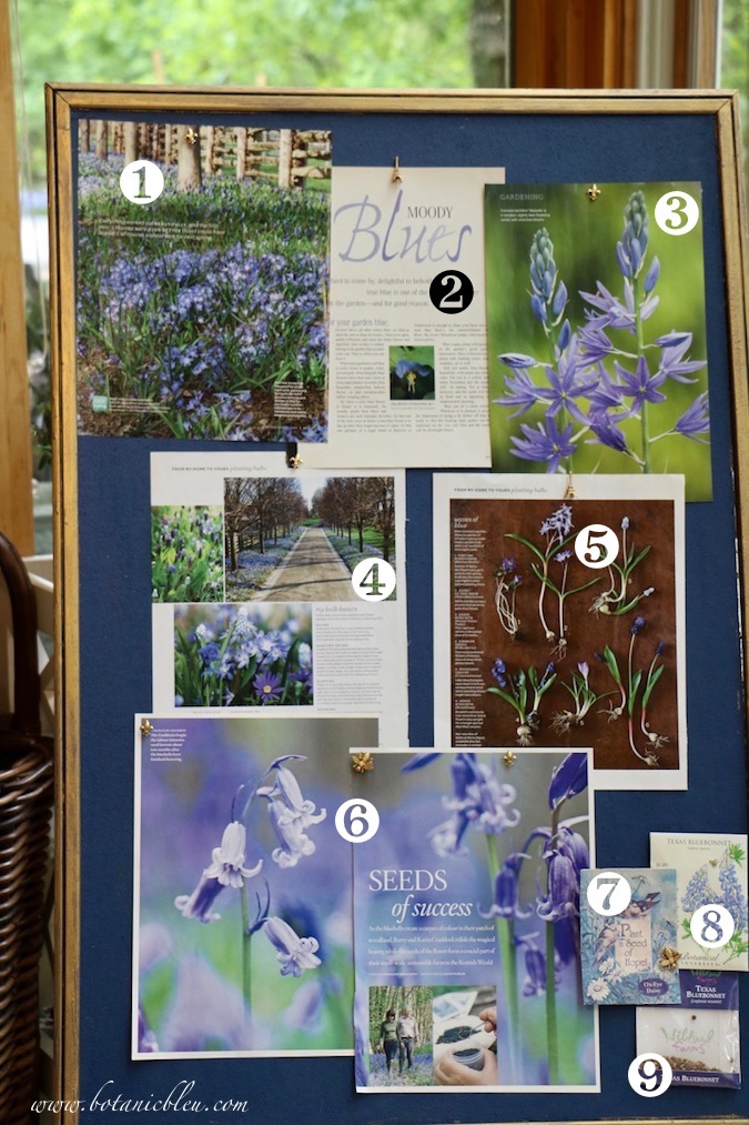 Botanic Bleu: Bulletin Board Inspiration No. 2 | Moody Blue Flowers