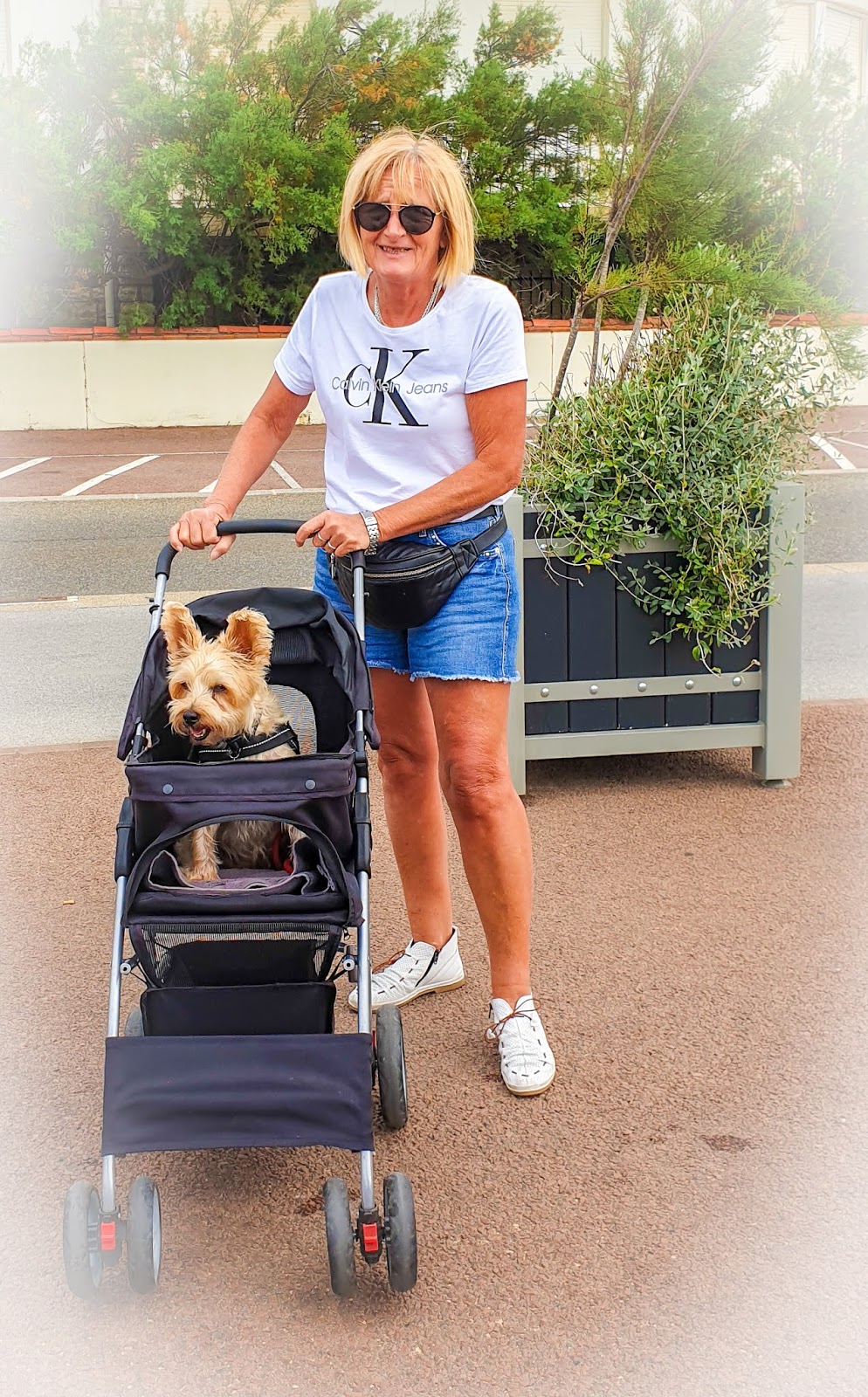 Beth Haslam - Author of the Fat Dogs and French Estates series: 2019