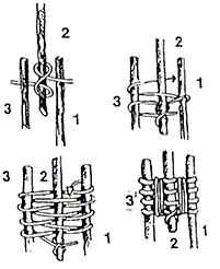 Aziscout (Suisse Alsace): Quelques noeuds