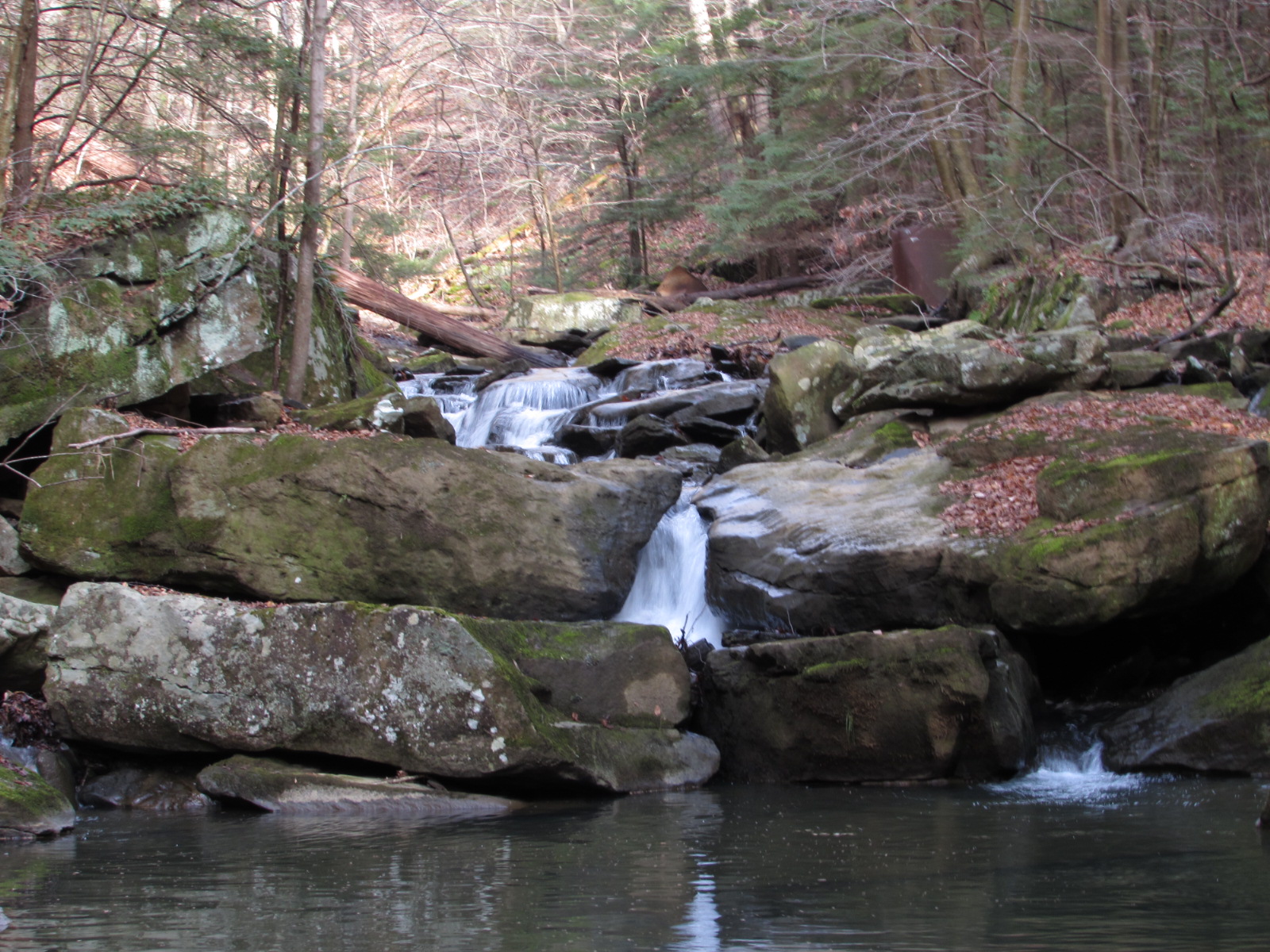 Roaring Run Natural Area, Apollo, PA | Interesting Pennsylvania and Beyond