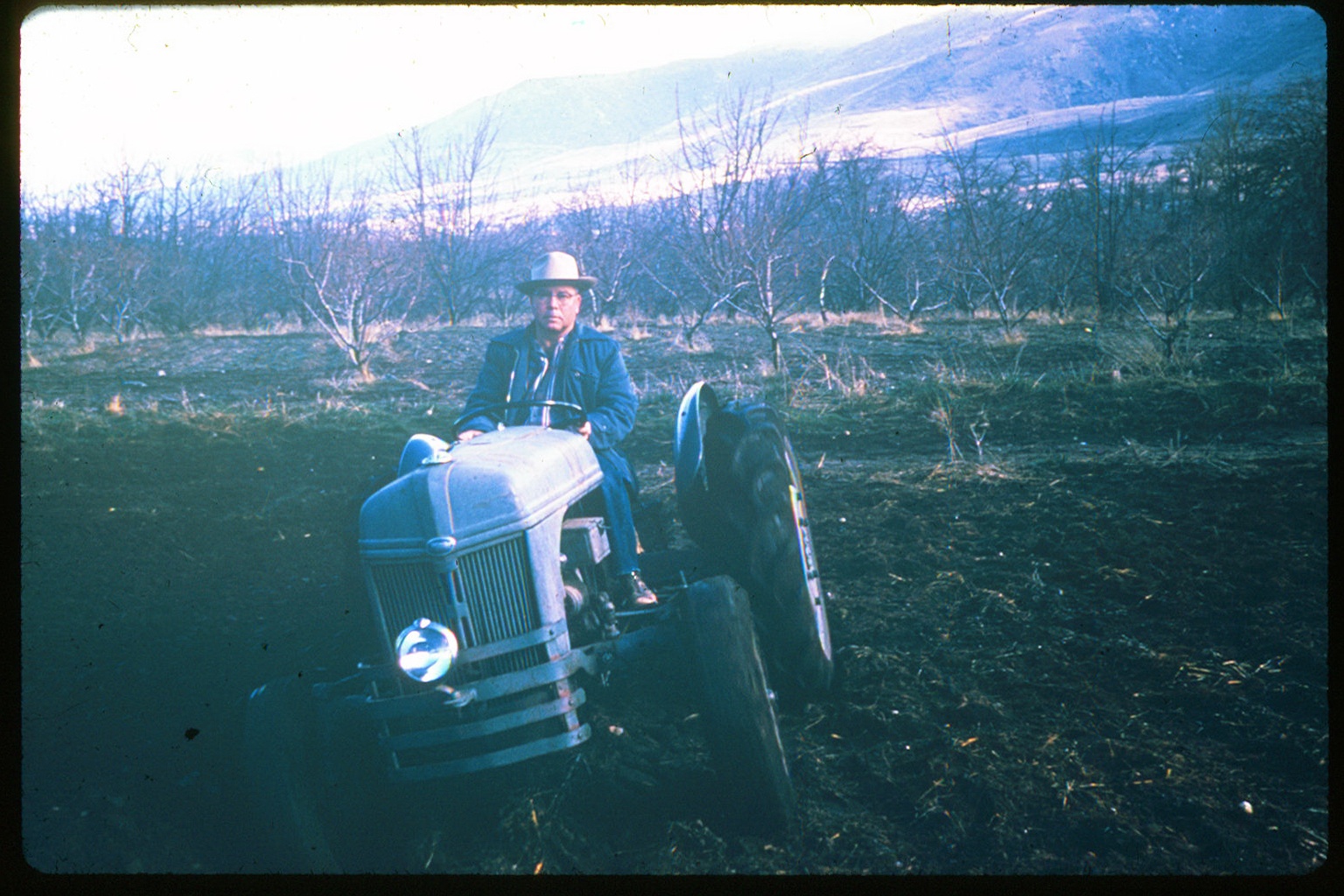 The Tuttle Family Gone Before: Harvest Time