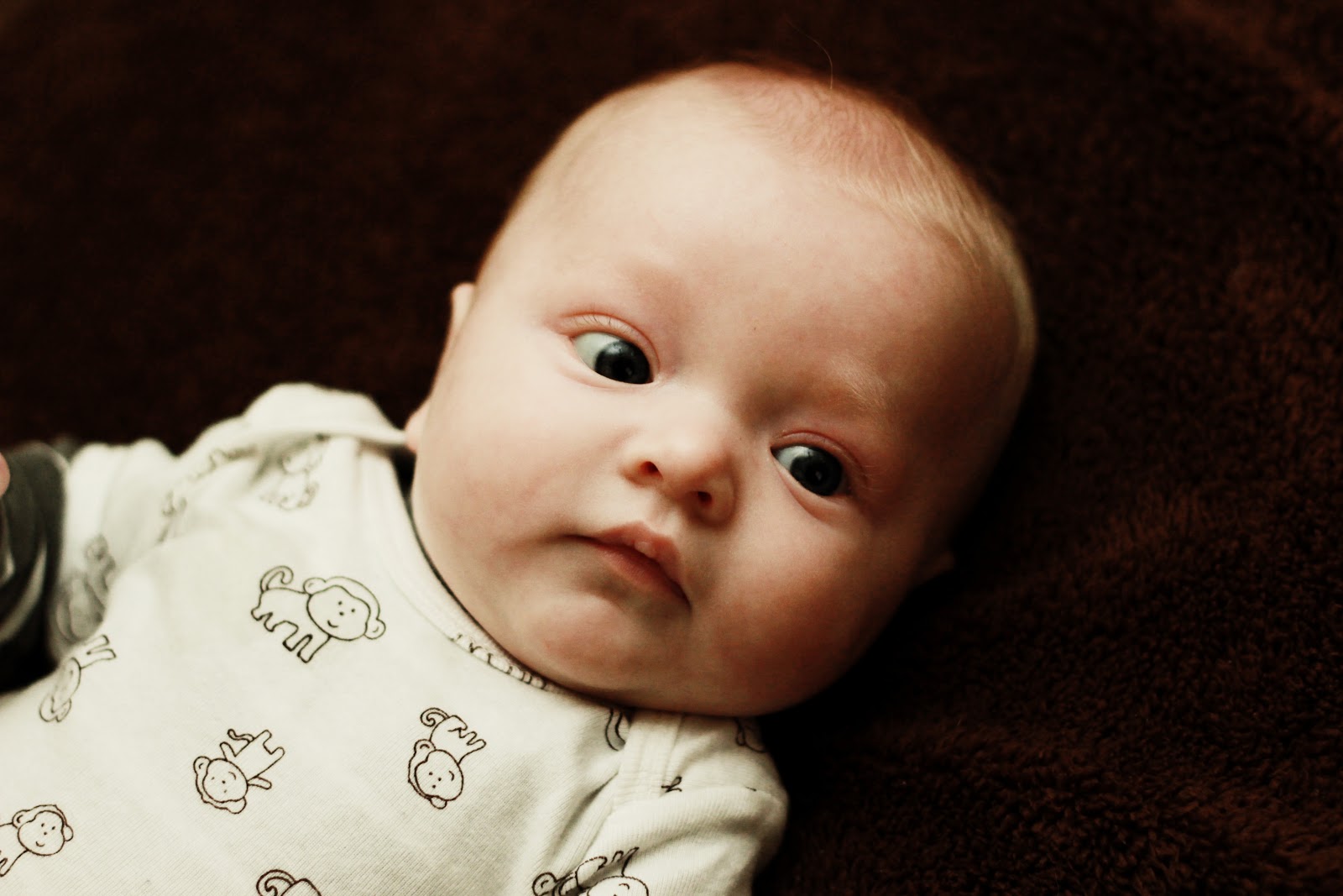 homegrowninky: photo shoot : baby bays