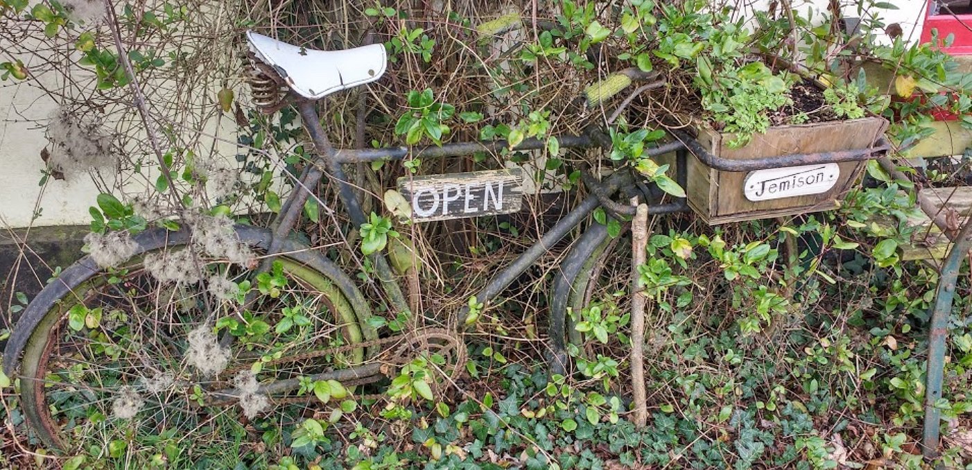 Little Corner of the Earth: THE RHEE WALL