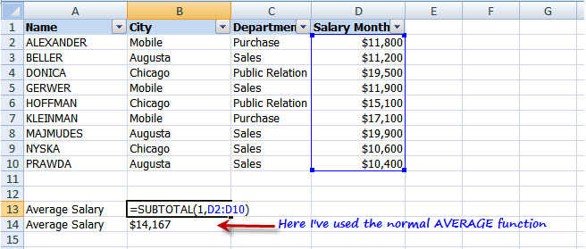 Microsoft Excel Tips: MS Excel: Subtotal Function and Filter