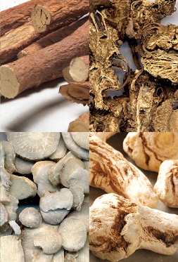 WaniRahman: Pil Herba Maharani