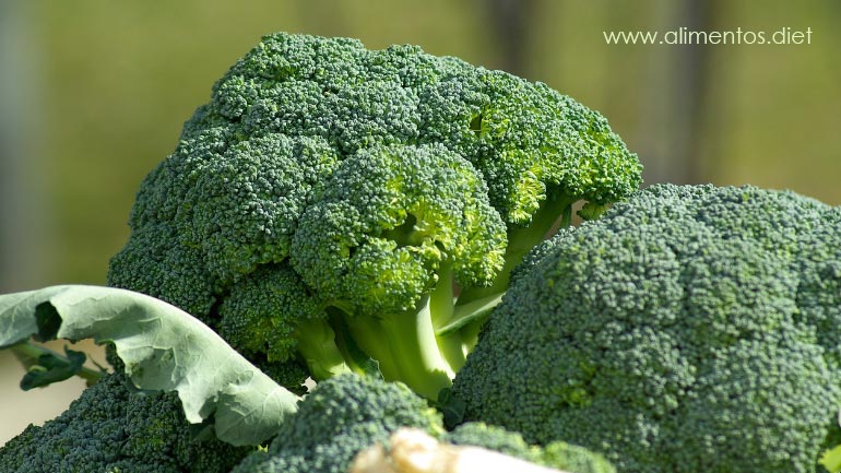 ALIMENTOS BOCIÓGENOS Y EL HIPOTIROIDISMO