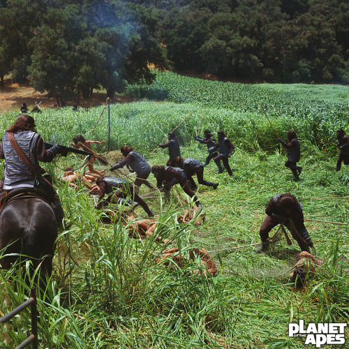 Archives Of The Apes: Planet Of The Apes (1968): The Hunt