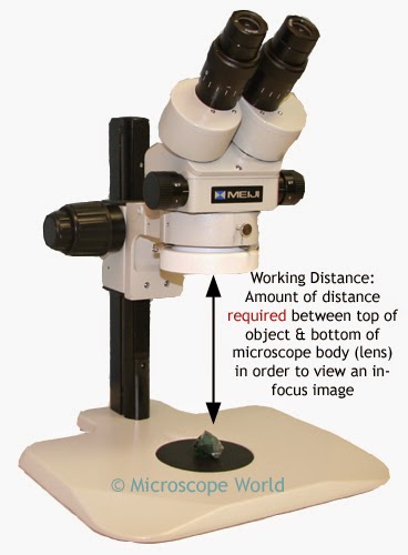 Microscope World Blog: Microscope Working Distance