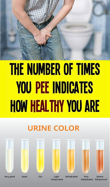The Number Of Times You Pee Indicates How Healthy You Are - Healthy ...