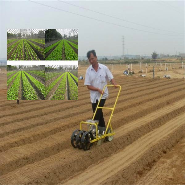 Zhengzhou AIX machinery: Made types vegetable seed planter machine