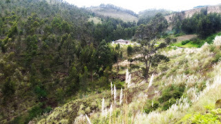 Punin: Atractivos de Punin