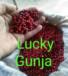 Rosary Pea Safed Gunja is Costliest Seed 7065940610