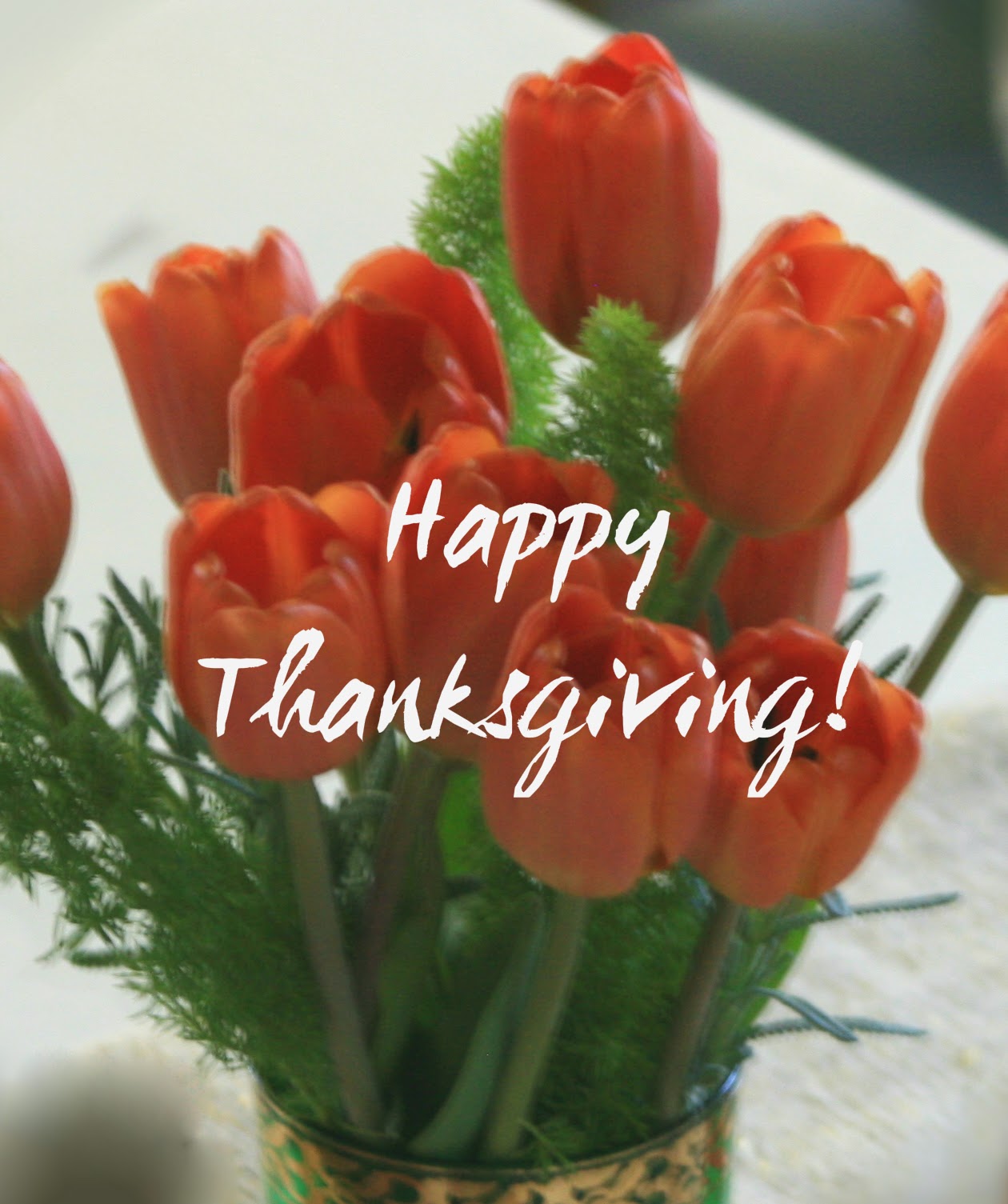 ciao! newport beach: thanksgiving tulips