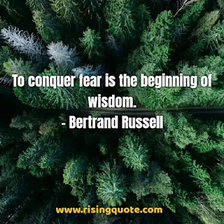 100 Best Wise Quotes | Short Wise Sayings (2021)