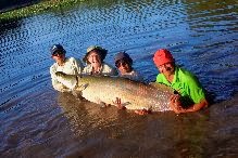 THE FISHING NEWS: Guyana Monster Arapaima on the Fly