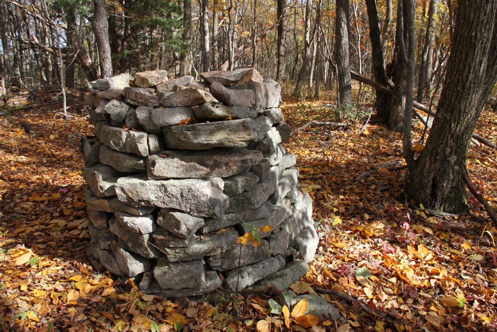 John Carlin's Virginia: The Sarver Cabin