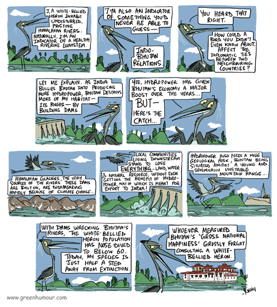 Green Humour: The White bellied Heron