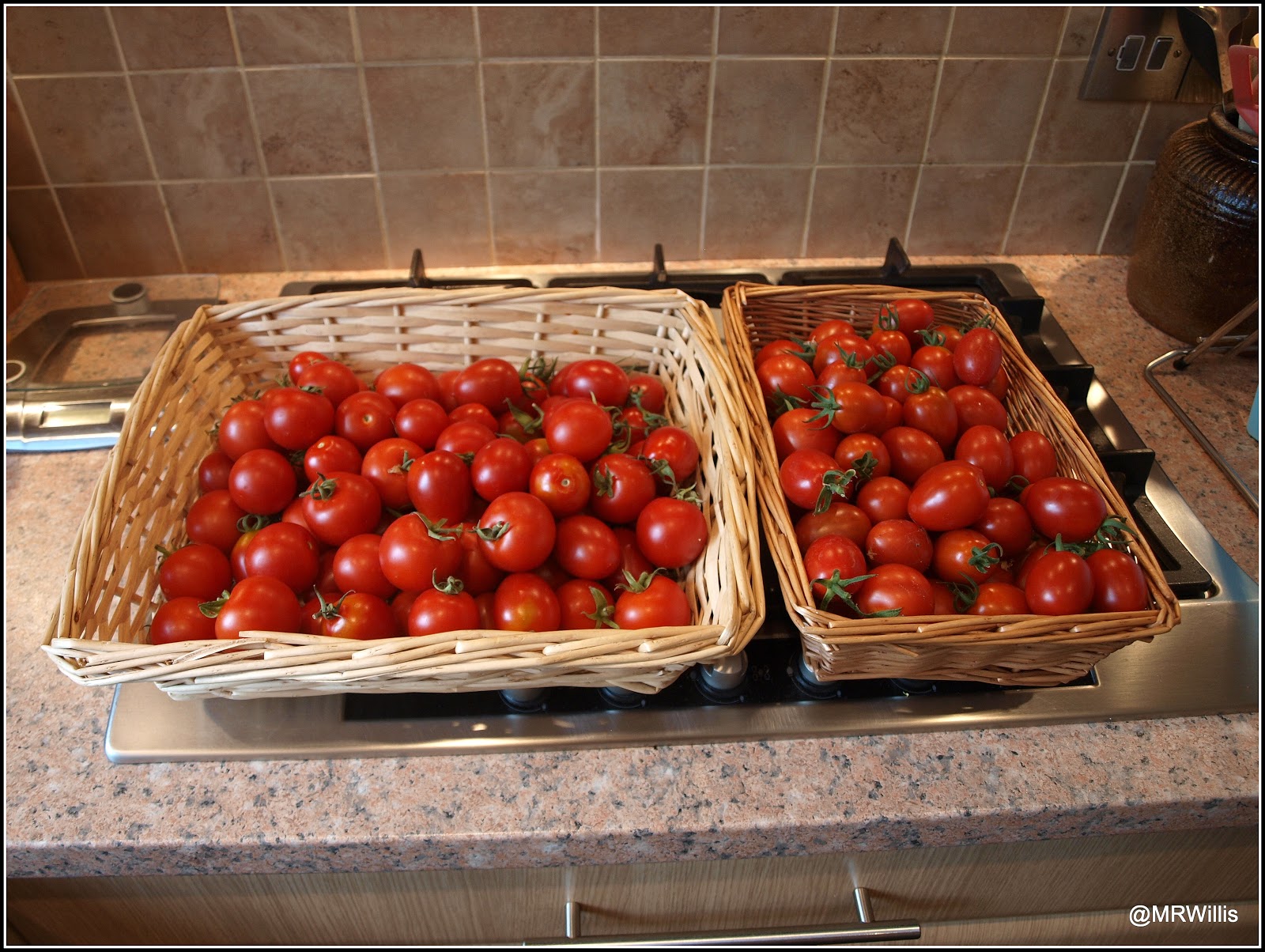 Mark's Veg Plot: It's Tomato time!