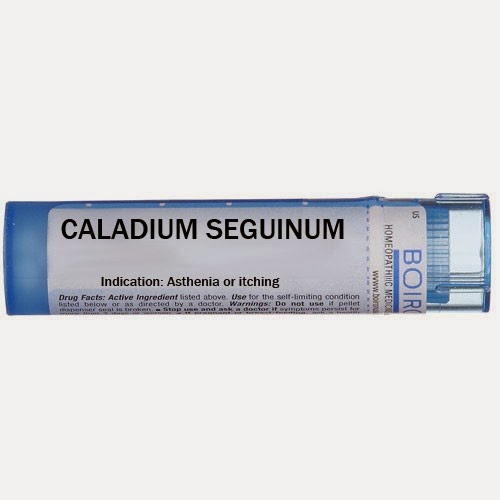 Caladium | Click2Homeopathy-Homeopathy Remedies