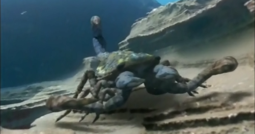 Criaturas del Pasado: Brontoscorpio