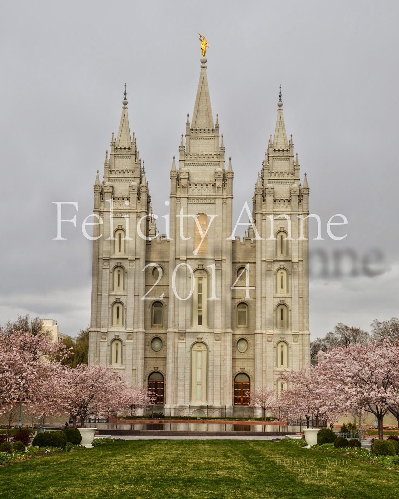 Felicity Anne Photography