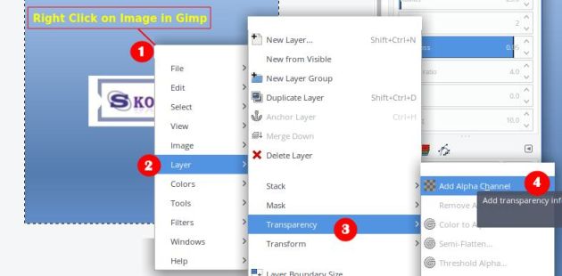 How to Make Image Selected Area Transparent in Gimp - SKOTechLearn Tips