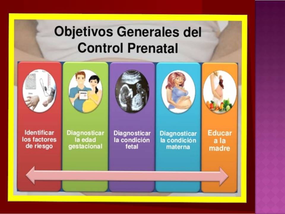 Un Aprender a Vivir Mejor: Control Prenatal