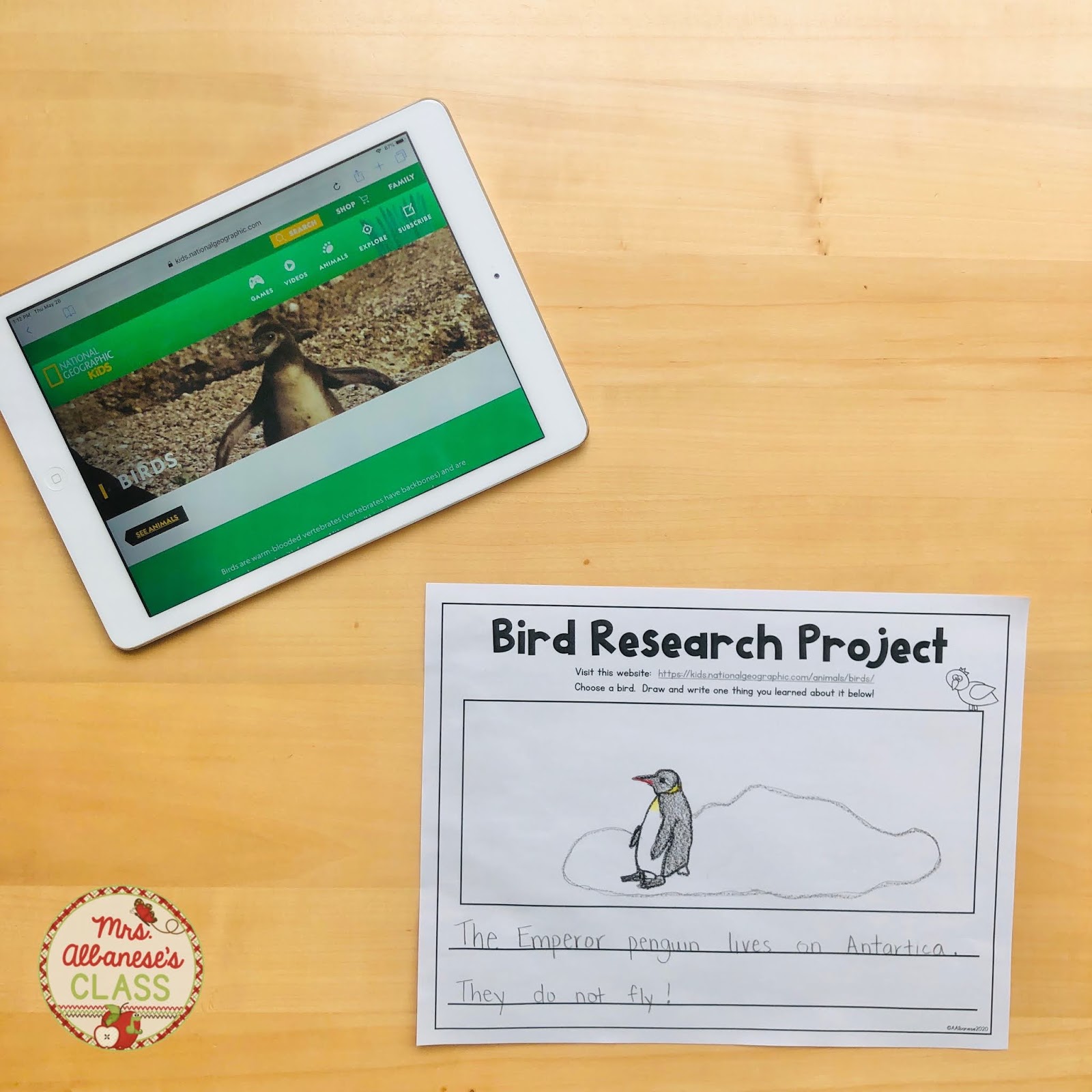 Distance Learning in Kindergarten {as best as possible!} | Mrs ...