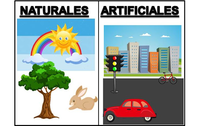CLASE N°3: FORMAS NATURALES Y ARTIFICIALES (BURBUJA A) | 1° GRADO IPMB