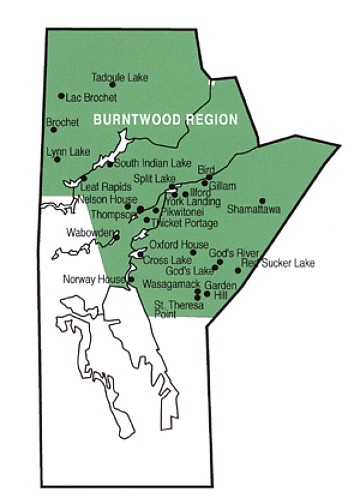 And This Is My Garden: TeleHealth screening to remote northern communities