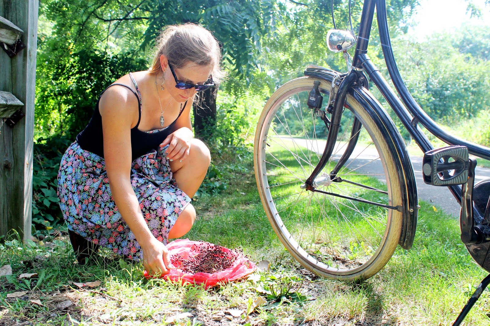 Madison Bike Life: Bike Path Foraging: Elderberries