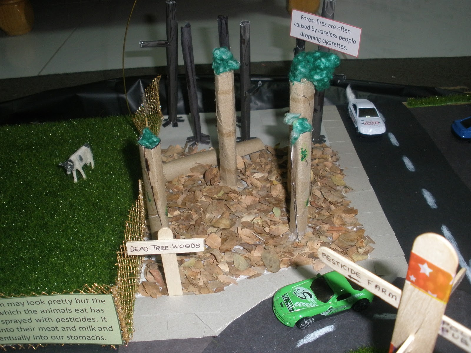 Our Crafty World: Pollution project for school