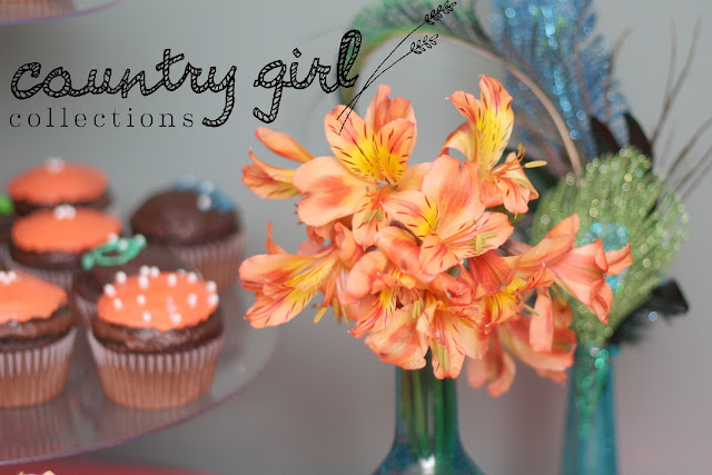 Country Girl Collections: A Country Girl Collections Sprinkle Shower ...