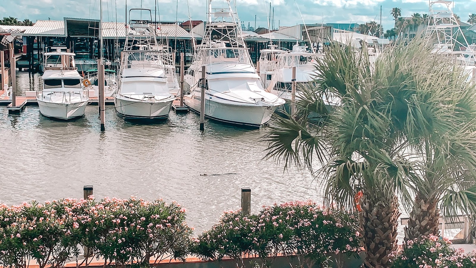 Is Surfside Beach In Freeport Texas Open at Allyson Byerly blog